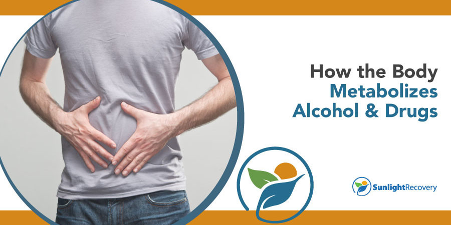 How the Body Metabolizes Alcohol and Drugs - Sunlight Recovery | Addiction Treatment