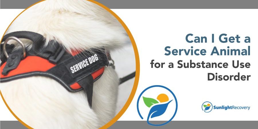 Can I Get a Service Animal for a Substance Use Disorder? - Sunlight ...